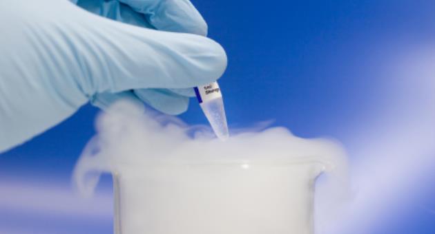 EMBRYO FREEZING - Best Medical Care Service, Medical Arrow - Medical ...